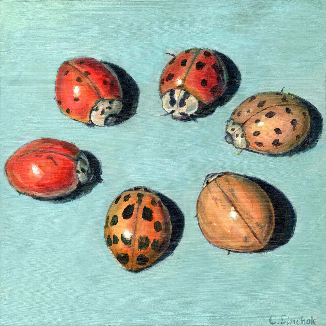 Ladybug Print, 8x8" Print, Insect Painting, Wall Decor, Ladybug Meeting ...
