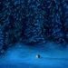 Frosted Forest 5x7in or 8x10in Print, Illustration, Winter, Christmas ...