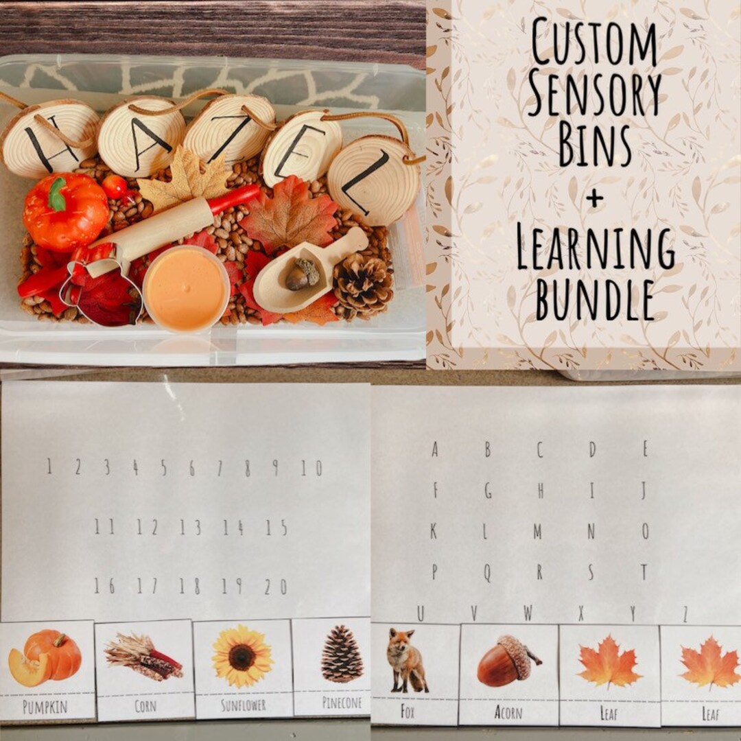 Sensory Bin Learning Bundle Printables Montessori - Etsy