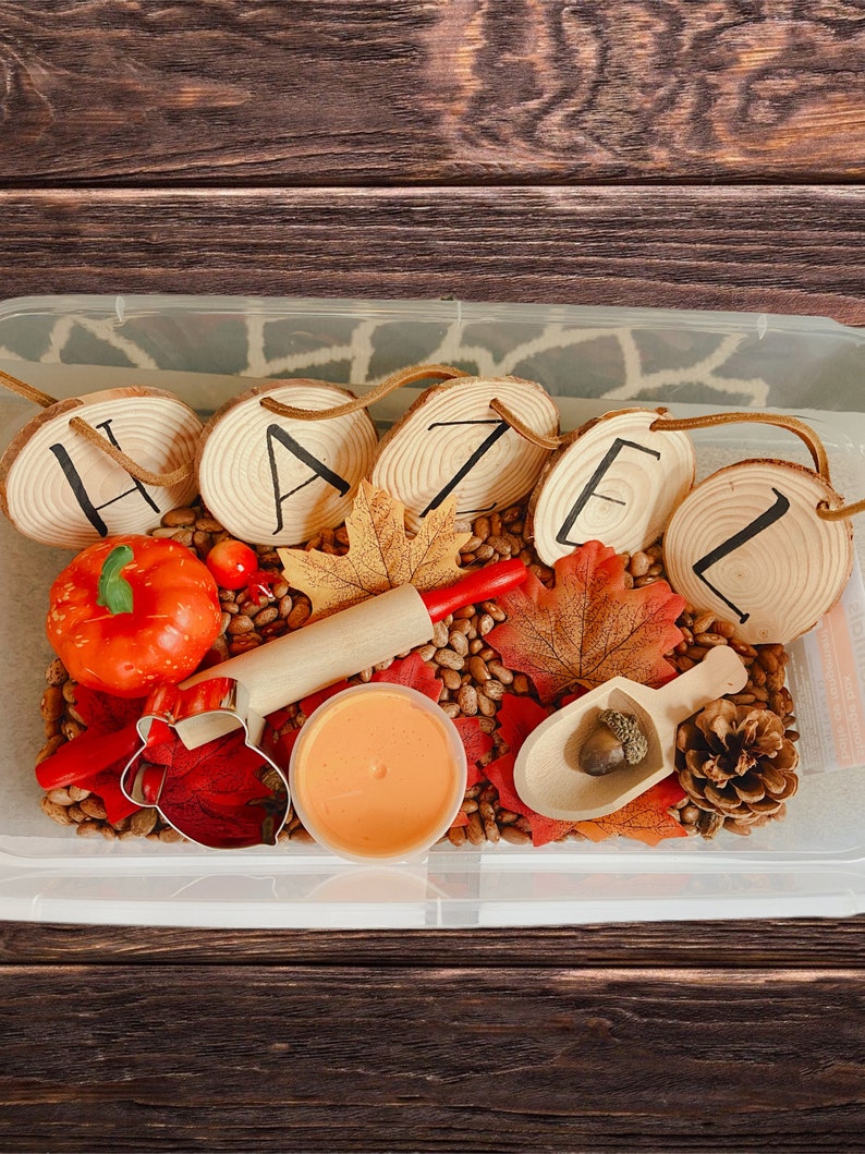 Sensory Bin Learning Bundle Printables Montessori - Etsy