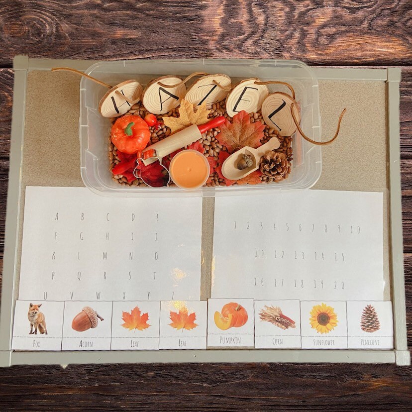 Sensory Bin, Learning Bundle, Printables, Montessori Nomenclature ...