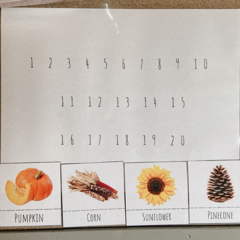 Sensory Bin, Learning Bundle, Printables, Montessori Nomenclature ...