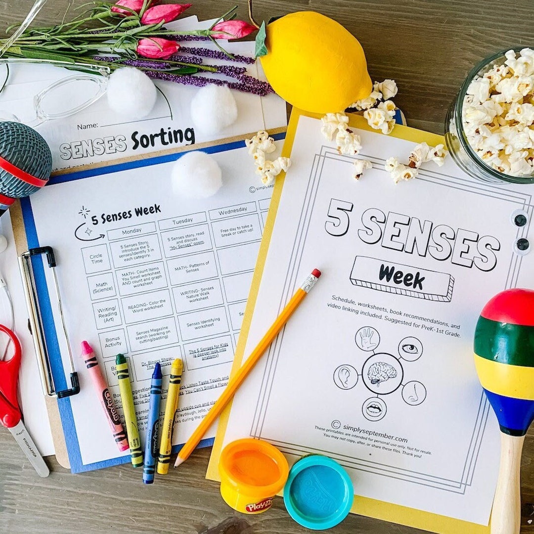 5 Senses Preschool, Kindergarten, First Grade Curriculum, Homeschool ...