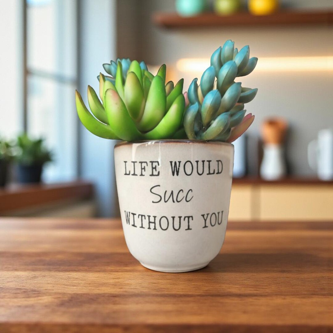 Life Would Succ Without You Planter | Funny Succulent Pot | 10oz Glazed ...