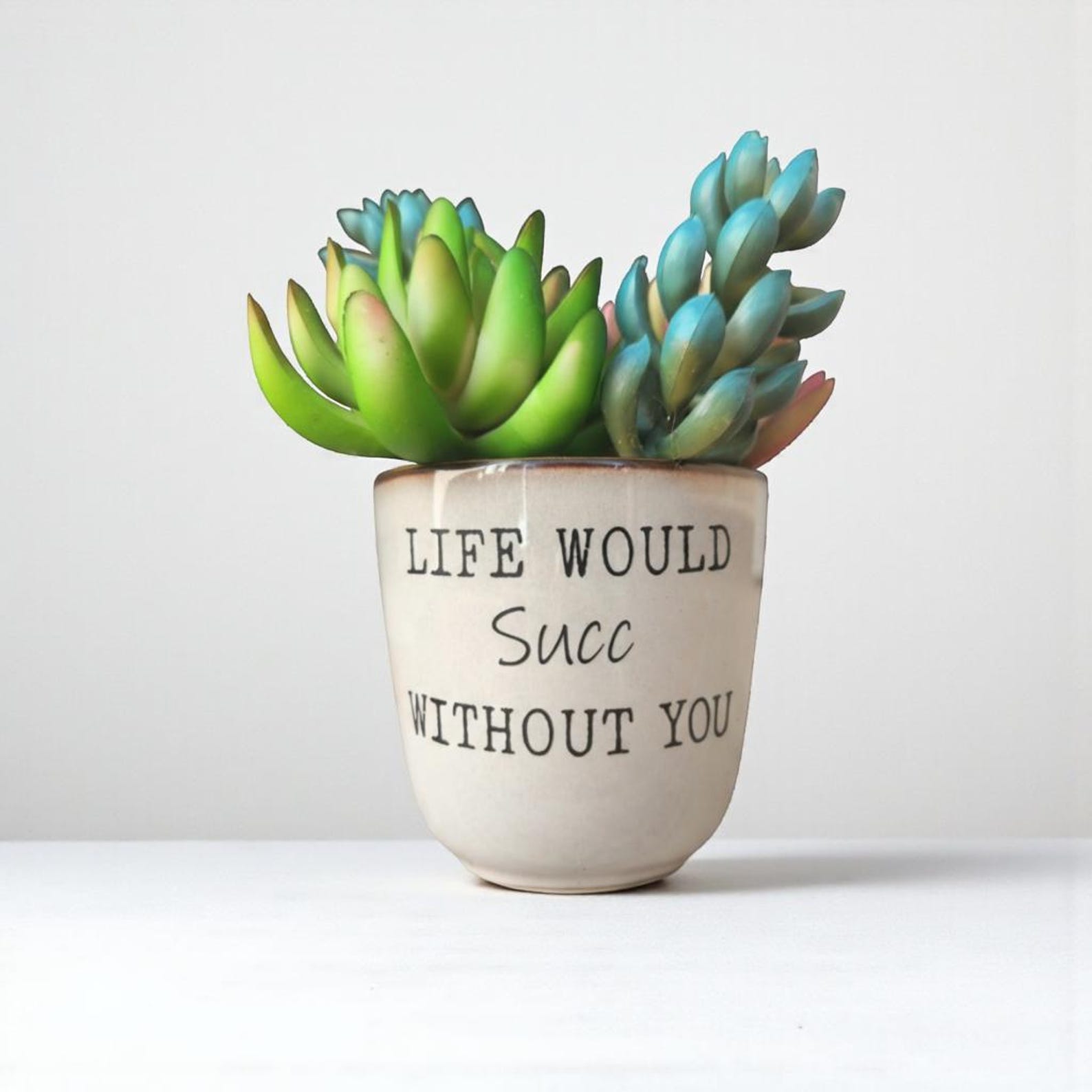 Life Would Succ Without You Planter | Funny Succulent Pot | 10oz Glazed ...