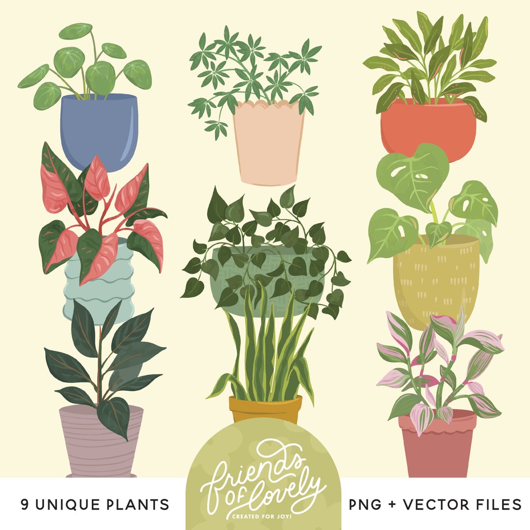 House Plant Illustrations, Botanical Clipart, Cute Potted Plant Clipart ...