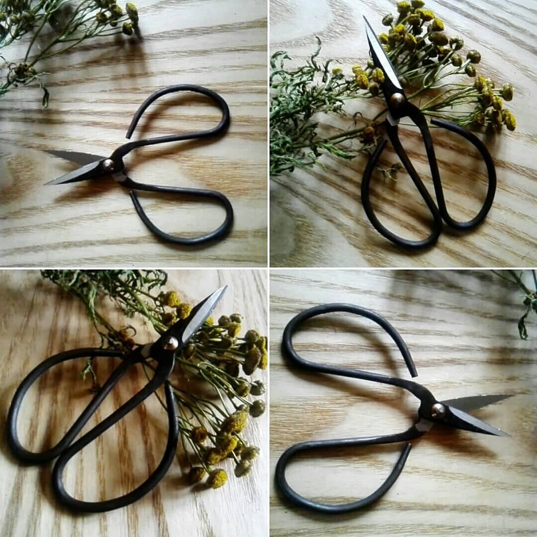 Ritual Scissors Unbinding Ritual Cutting Gardening Herbalism Herbs ...