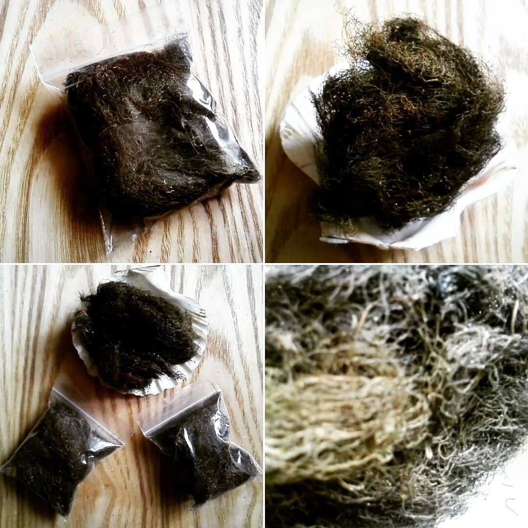 Bryoria Lichen Witches Hair Smudging Incense Firelighting Ceremony ...