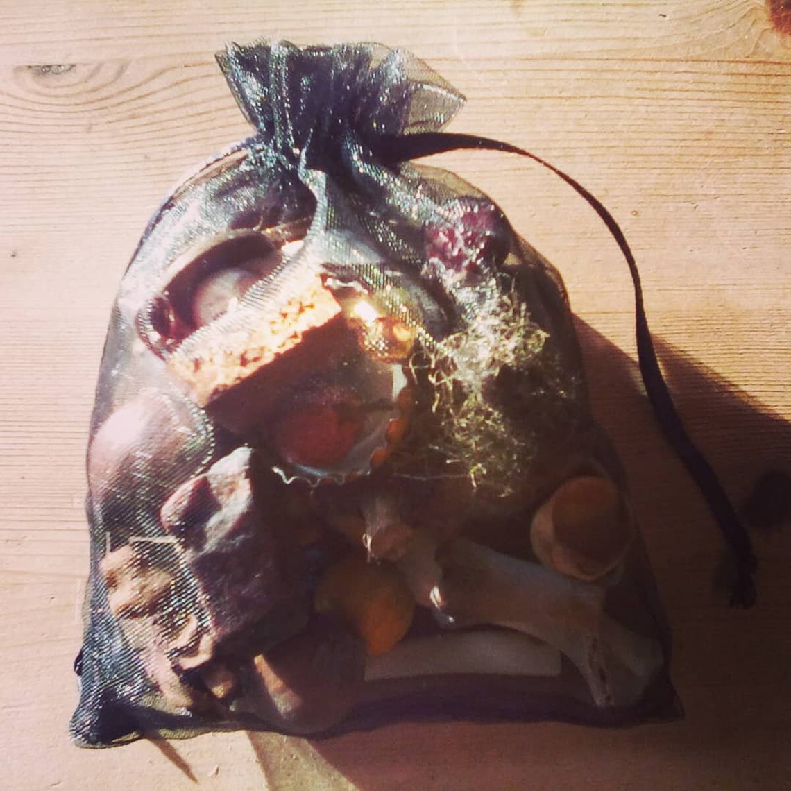 Bone Throwing Oracle Set no2 tarot runes bones curios ritual | Etsy