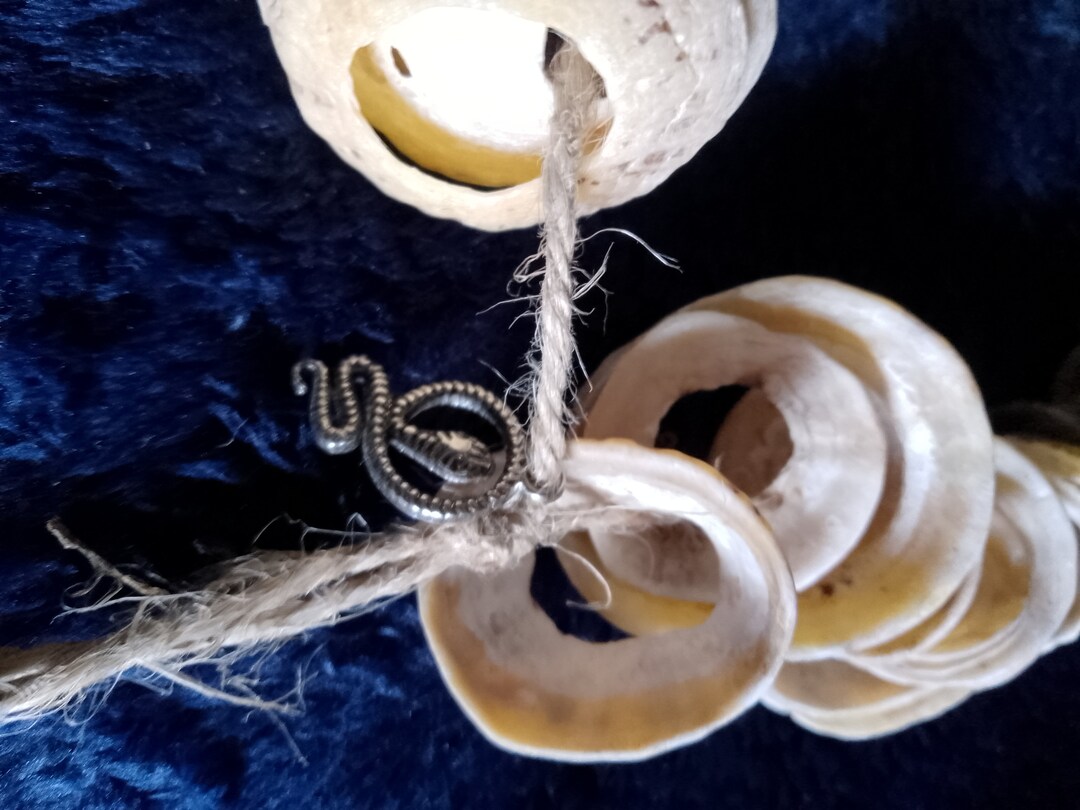 Shaman Shell Shaker No10 Prayers Shaman Spirituality Sacred Sound ...