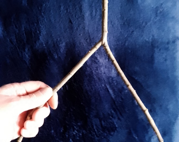 Bone Throwing Oracle Set Tarot Runes Bones Curios Ritual Reading ...