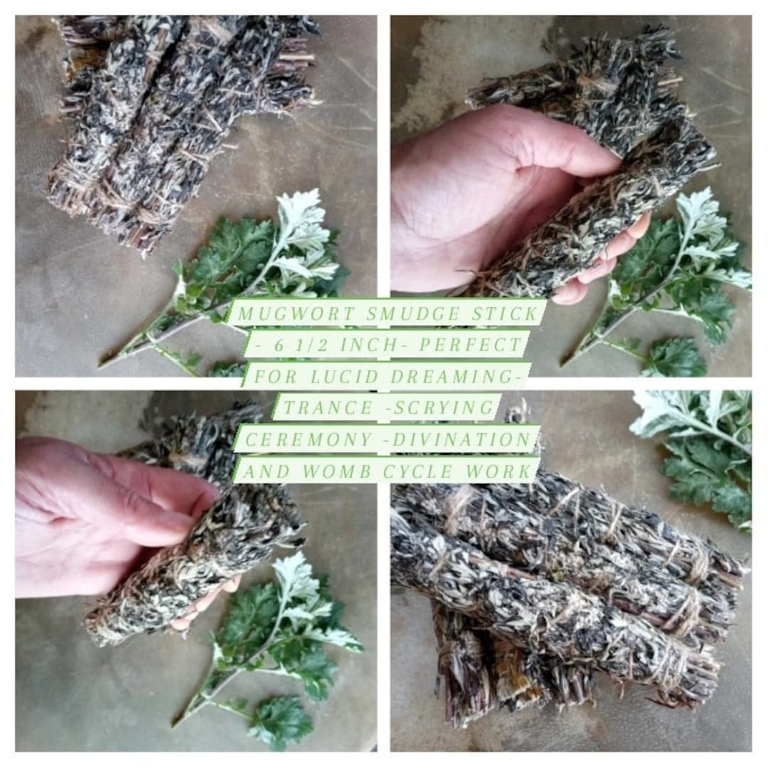 Mugwort Smudge Stick 6 1/2 Inch Lucid Dreaming Trance Scrying ...