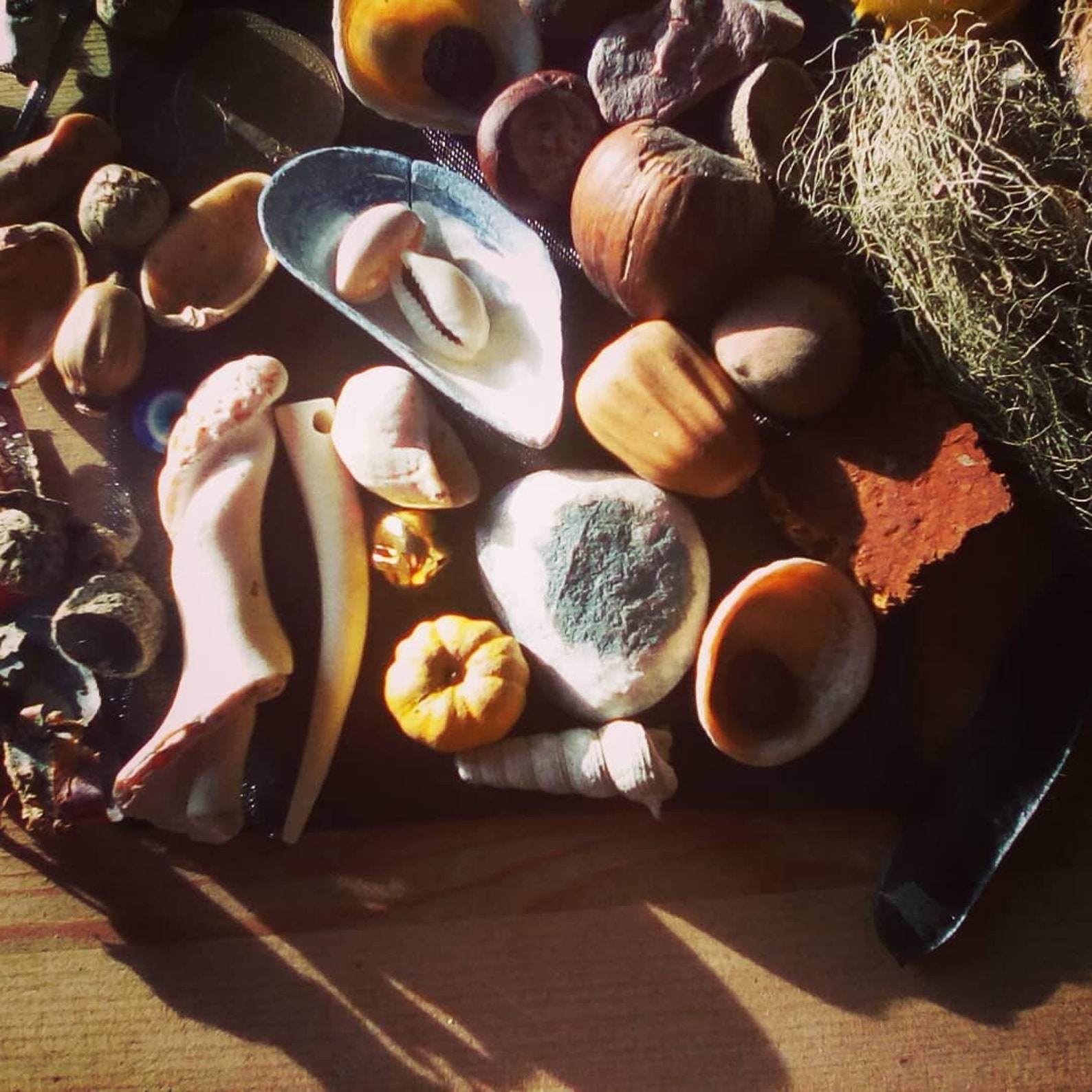 Bone Throwing Oracle Set no2 tarot runes bones curios ritual | Etsy