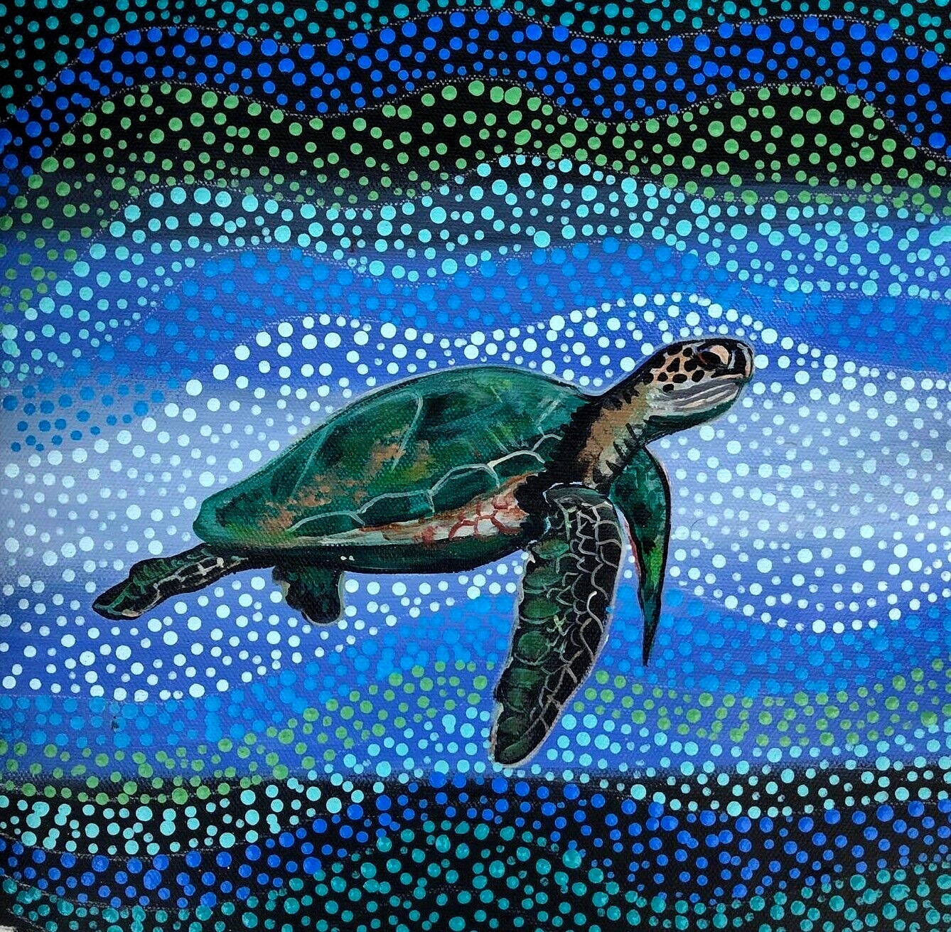 Aboriginal Paintings Of Turtles