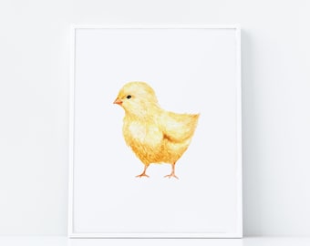 Baby Chick Art | Etsy