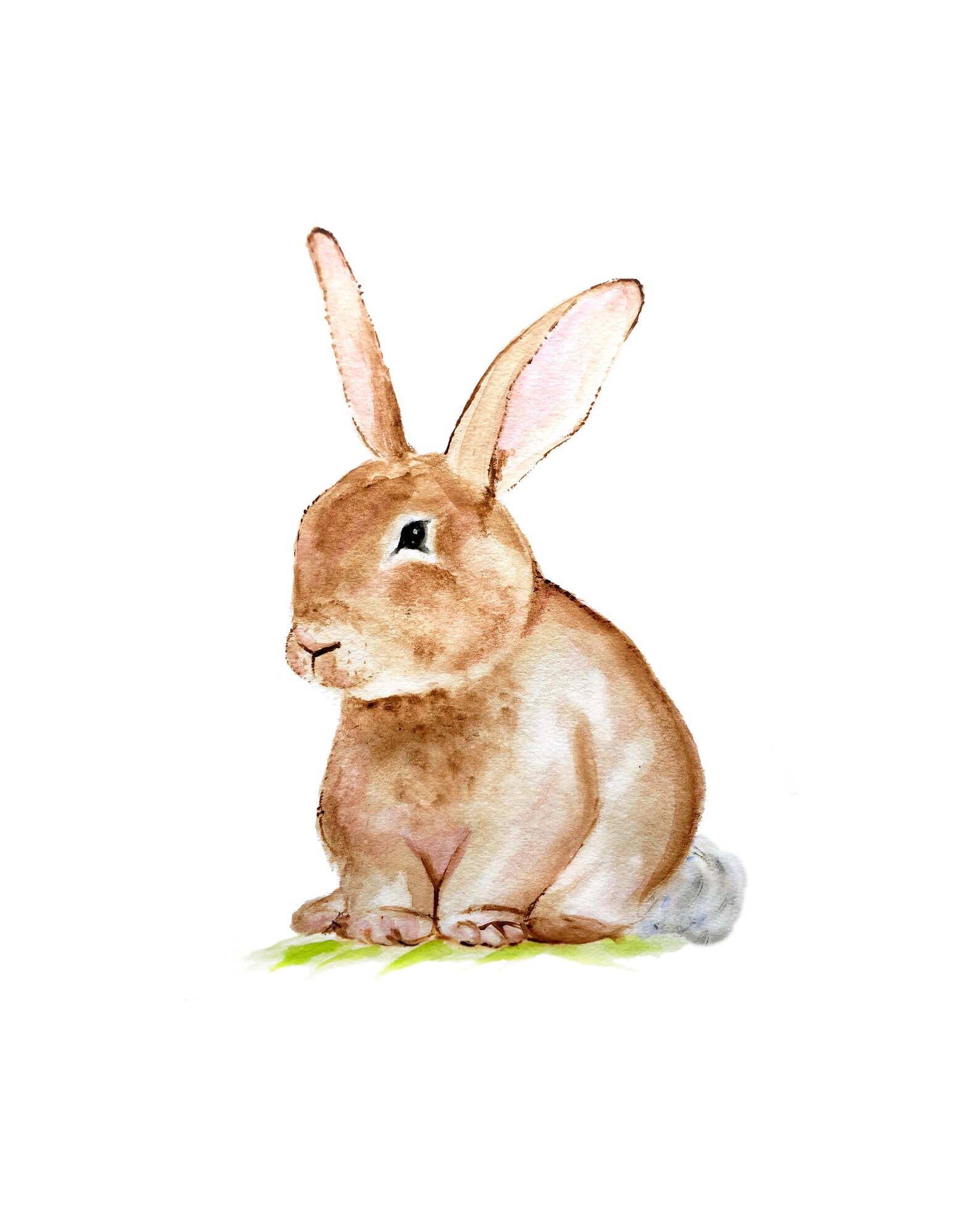 Watercolor Bunny Rabbit Printable, Nursery Printable Art, Digital ...