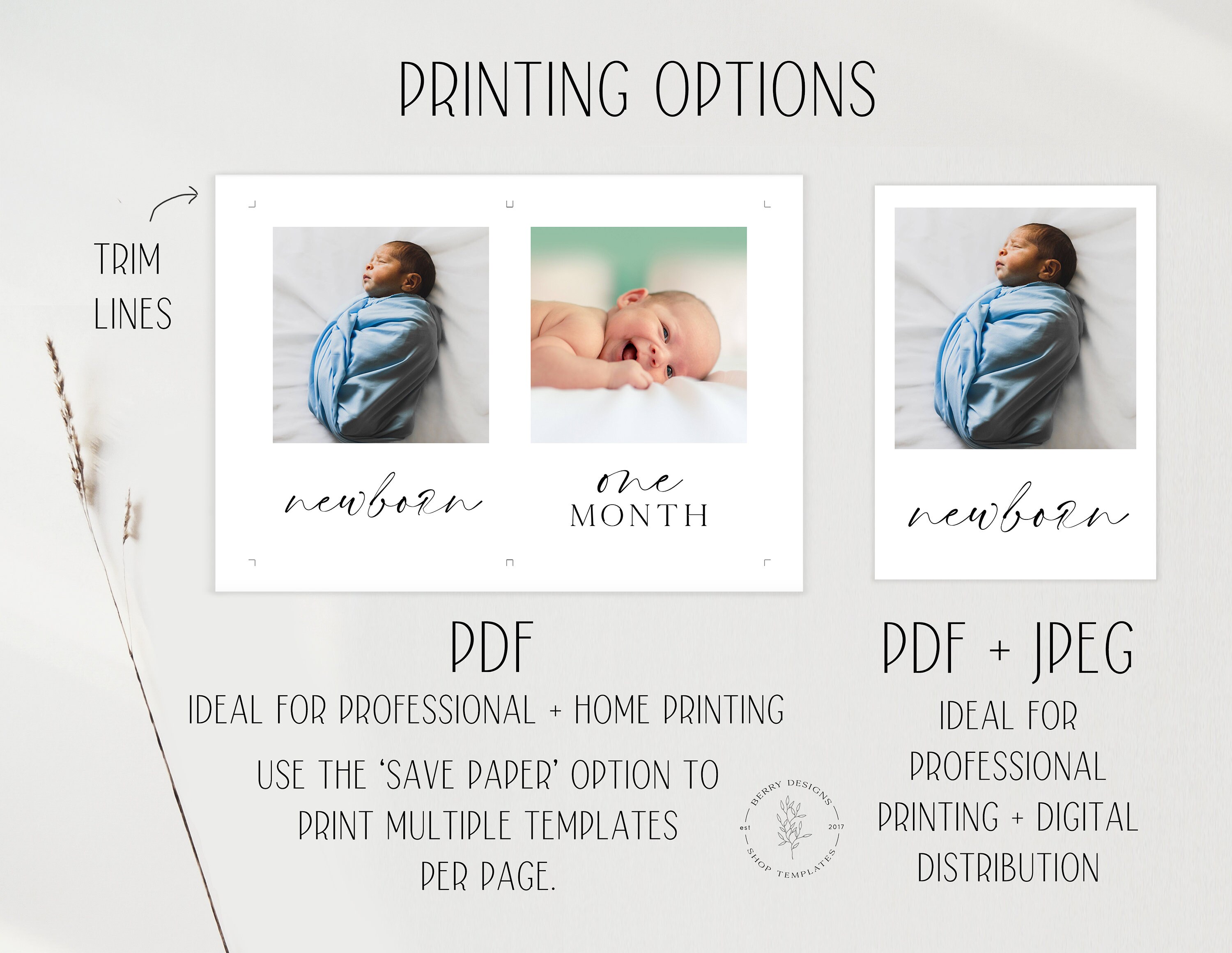 Modern First Year Birthday Photo Banner Minimalist 1st Year - Etsy