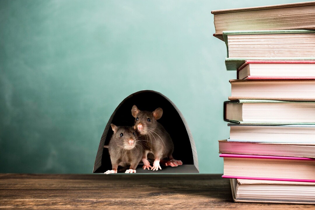 Realistic Mouse in Hole Wall Decal Mouse Sticker Baseboard Sticker ...