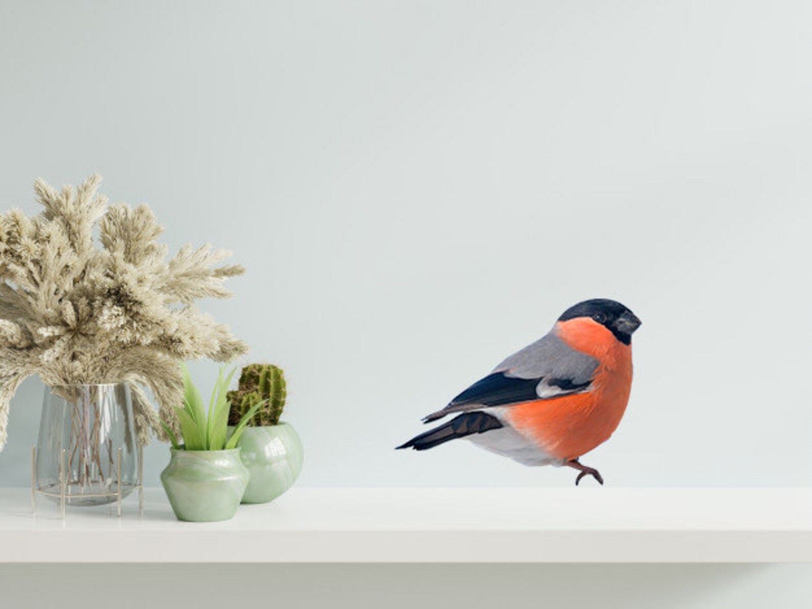 Robin Decal Bird Sticker Robin Sticker Bird Wall Decal for - Etsy