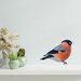 Robin Decal Bird Sticker Robin Sticker Bird Wall Decal for Nursery for ...