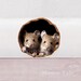 Realistic Mice Sticker Two Mice Friends in Hole Wall Decal Mouse Decal ...