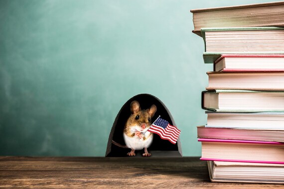 Independence Day Mouse Decal American Flag Realistic Mouse in | Etsy