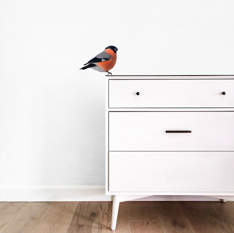 Robin Decal Bird Sticker Robin Sticker Bird Wall Decal for - Etsy