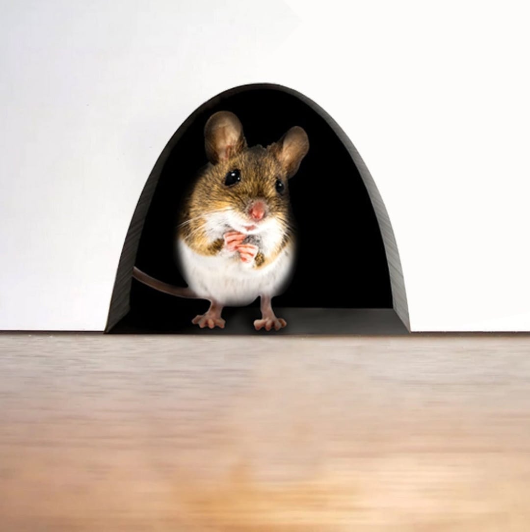 Realistic Mouse in Hole Wall Decal Mouse Sticker Baseboard Sticker ...