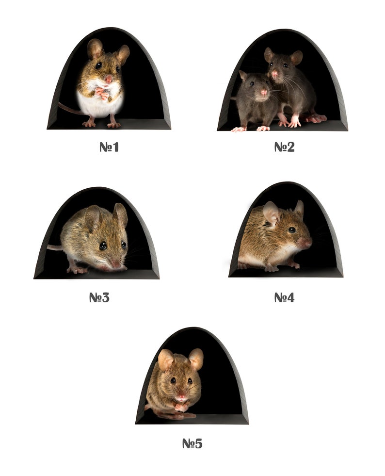 Realistic Mouse in Hole Wall Decal Mouse Sticker Baseboard | Etsy