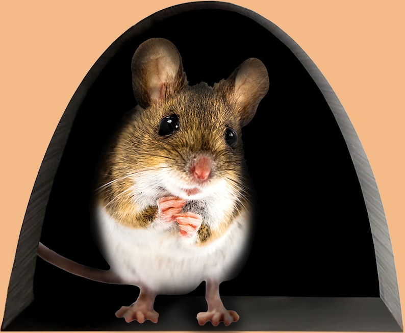 Realistic Mouse in Hole Wall Decal Mouse Sticker Baseboard - Etsy