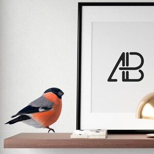 Robin Decal Bird Sticker Robin Sticker Bird Wall Decal for Nursery for ...