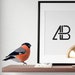 Robin Decal Bird Sticker Robin Sticker Bird Wall Decal for Nursery for ...