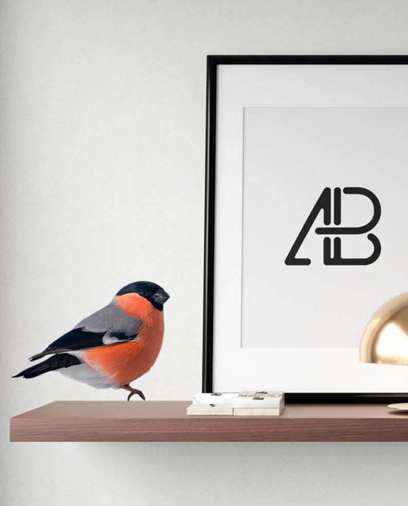 Robin Decal Bird Sticker Robin Sticker Bird Wall Decal for - Etsy