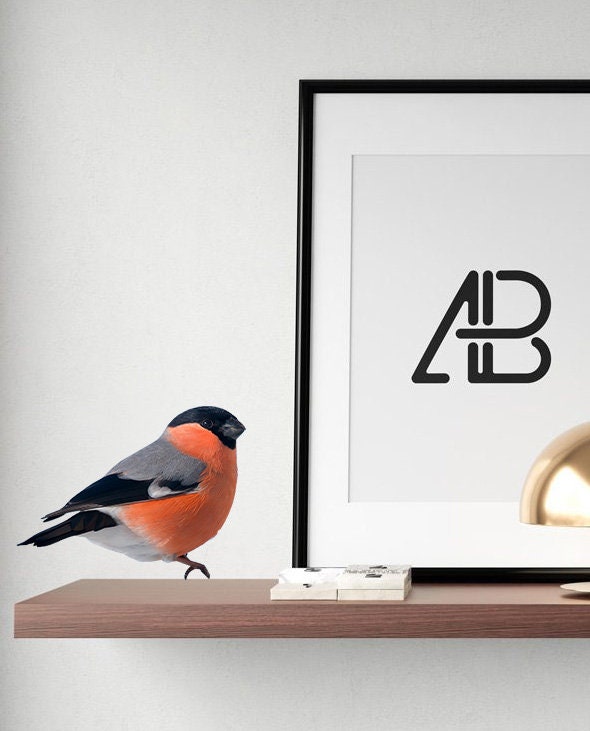 Robin Decal Bird Sticker Robin Sticker Bird Wall Decal for - Etsy