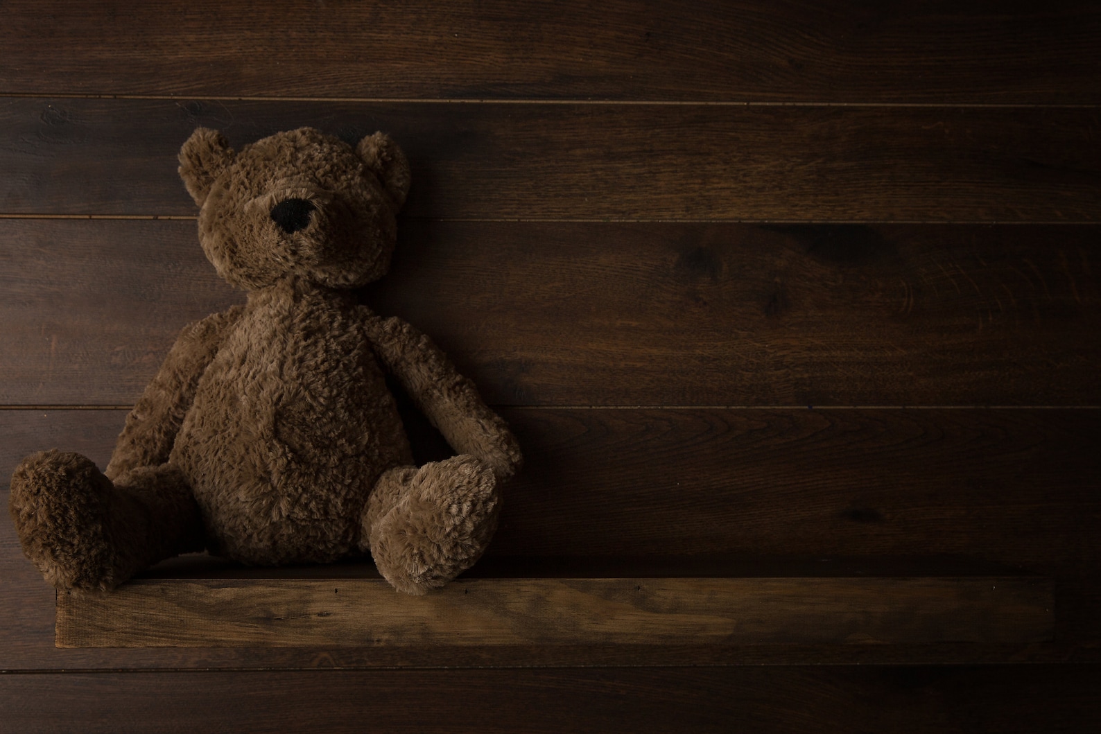 Teddy Bear Newborn Shelf Digital Backdrop - Etsy