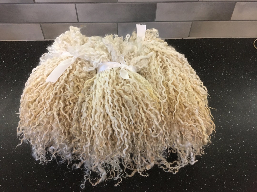 Teeswater Shearling Curls Separated Washed Locks Crafting Felting Gnome ...
