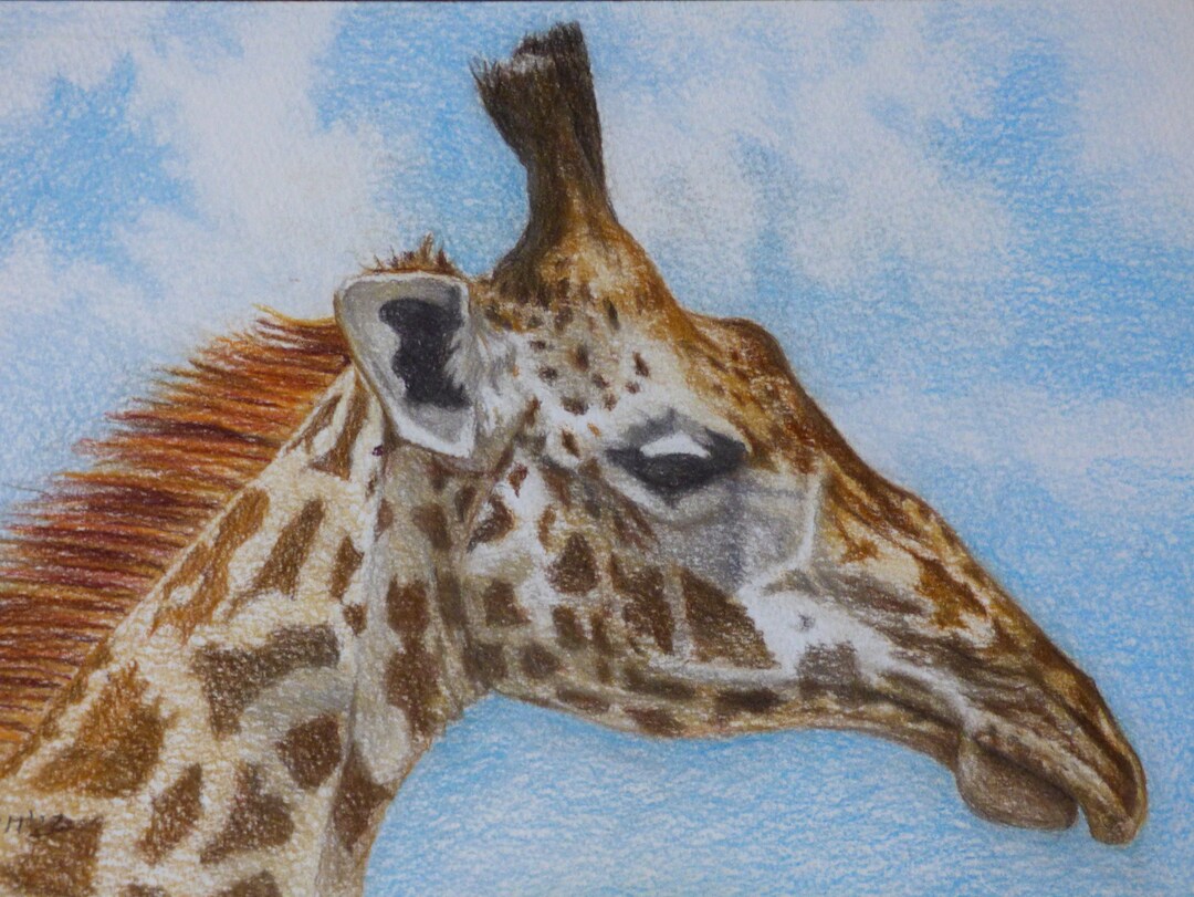 Original Giraffe Portrait, Wildlife Art, East Africa, Animal Portraits ...