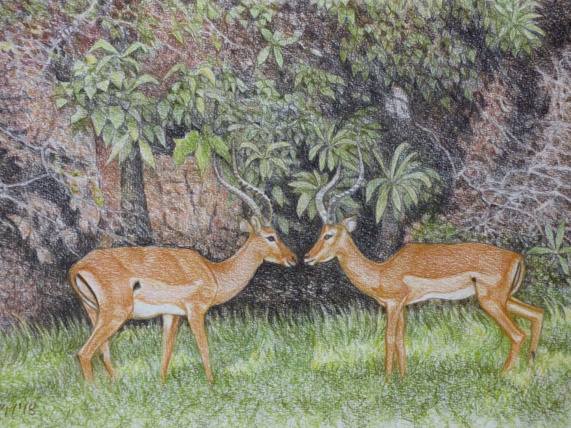 Original Painting of Greeting Impalas in the African Bush, Male ...