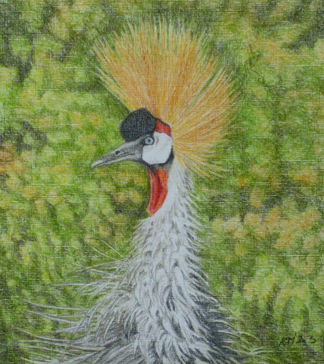 Original Crane Bird, African Wildlife Art, Crown Bird Portrait, Exotic ...
