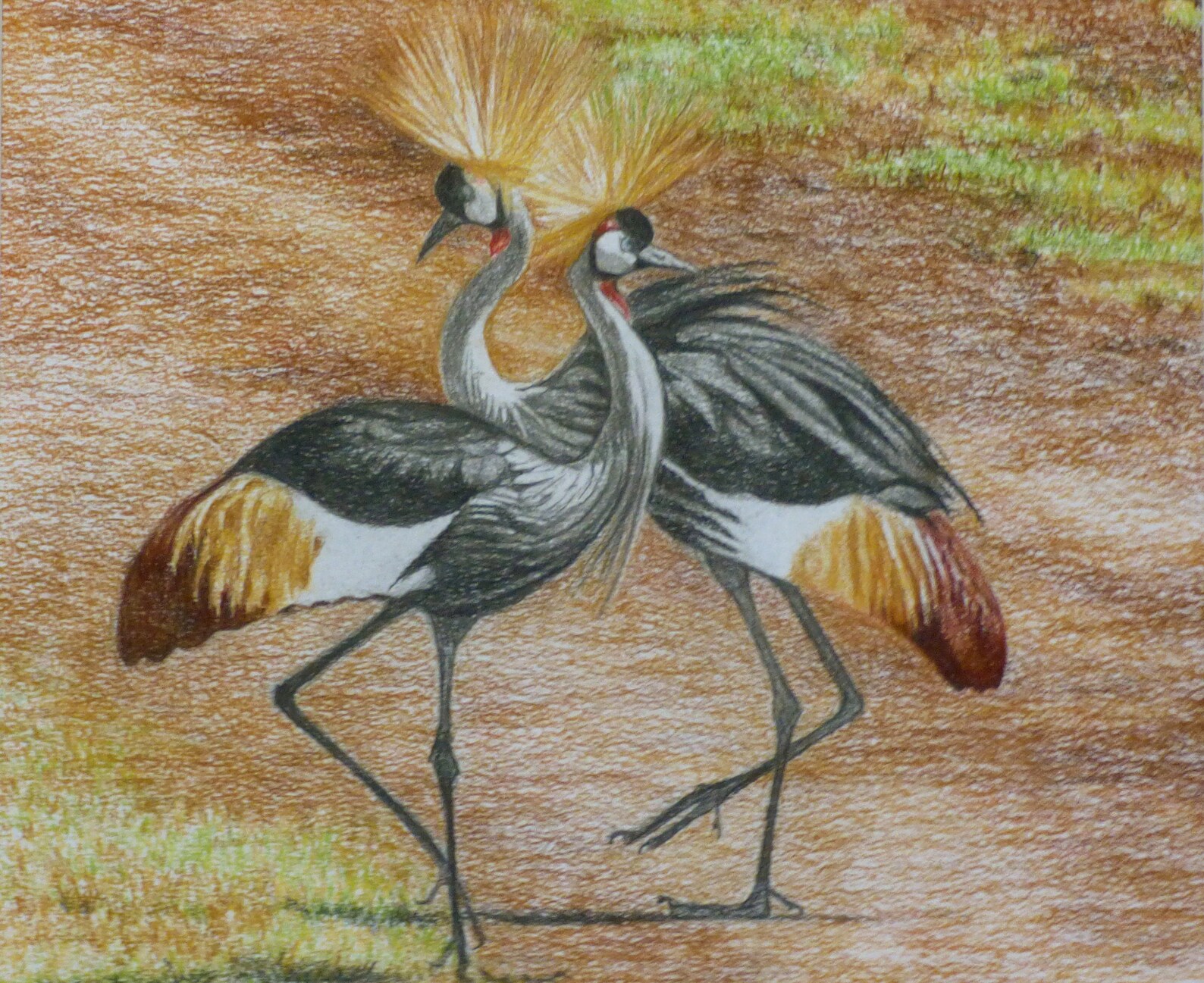 Original Crane Bird, African Wildlife Art, Two Crown Birds, Exotic ...