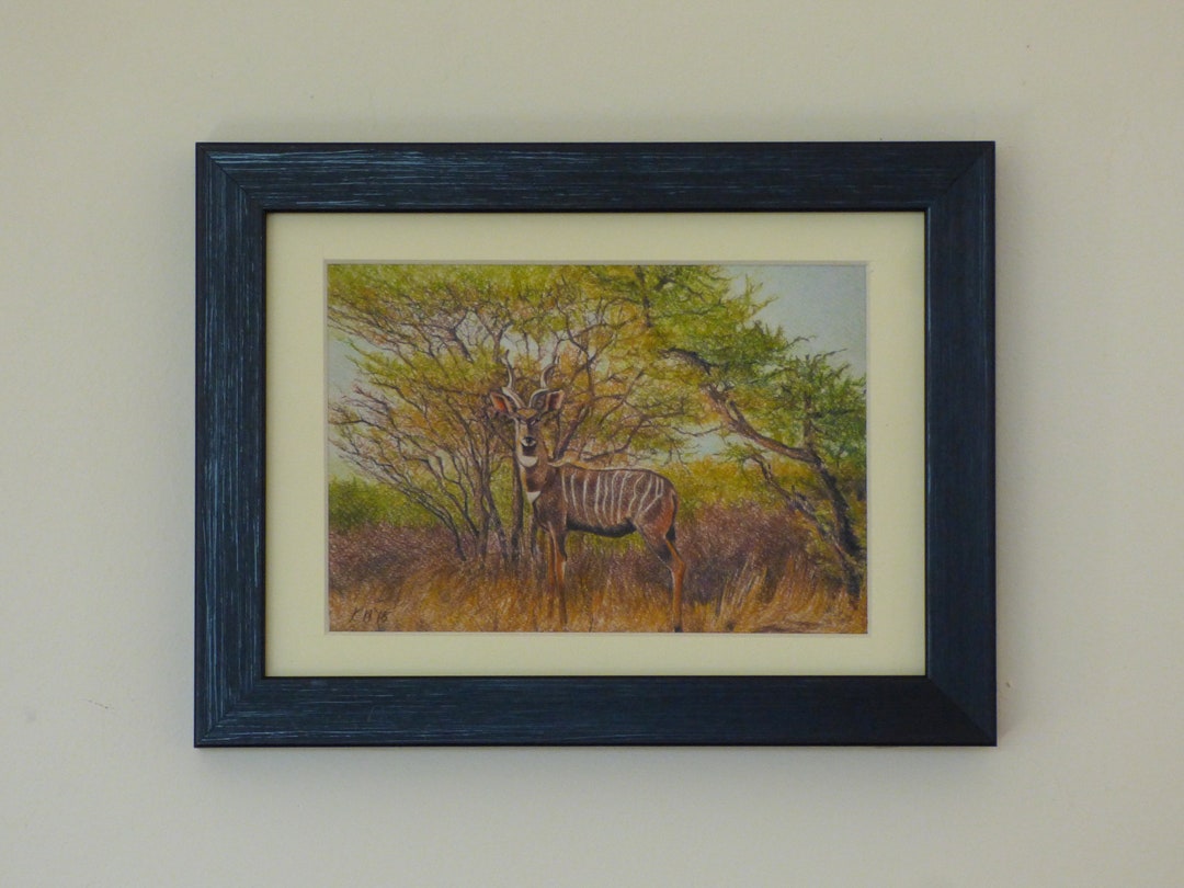 Small Framed Antelope Print, Kudu Art Print, African Wildlife, African ...