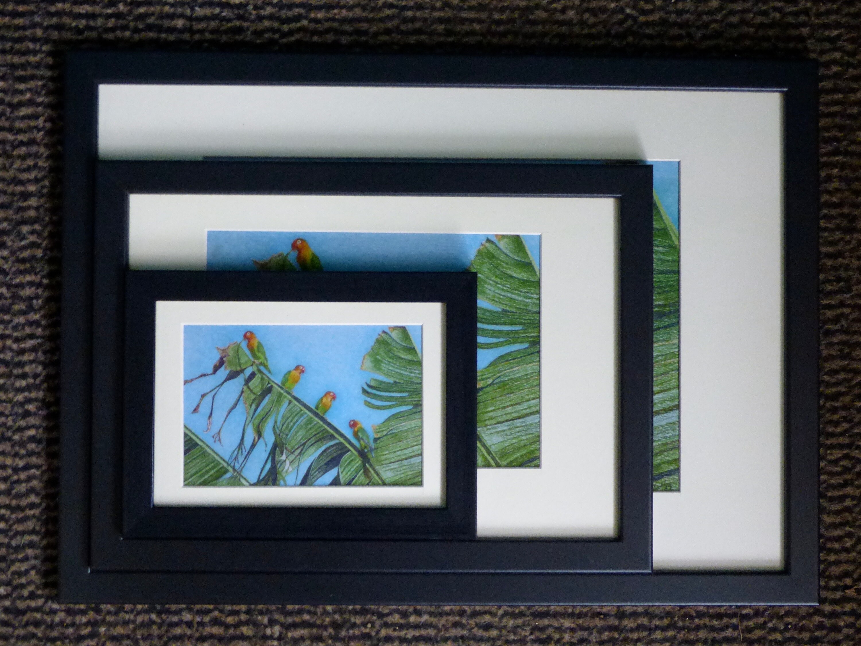Lovebirds and Banana Leaf, Small Framed Parrot Art, Brightly Coloured ...