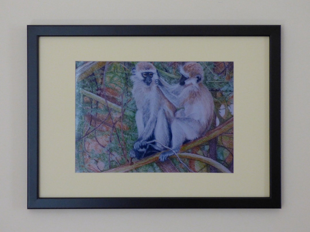 Monkey Art Print, Vervet Monkeys on Branch, Monkey Wall Art, Ready ...
