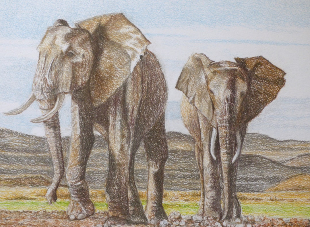 Original Elephant, Pastel Painting, African Wildlife, Elephants, Africa ...