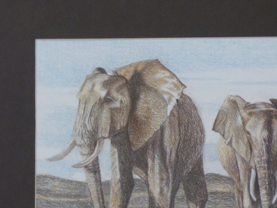 Original Elephant, Pastel Painting, African Wildlife, Elephants, Africa ...