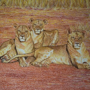 Female Lion Paintings, Original Lioness Art, Three Lions, Original ...