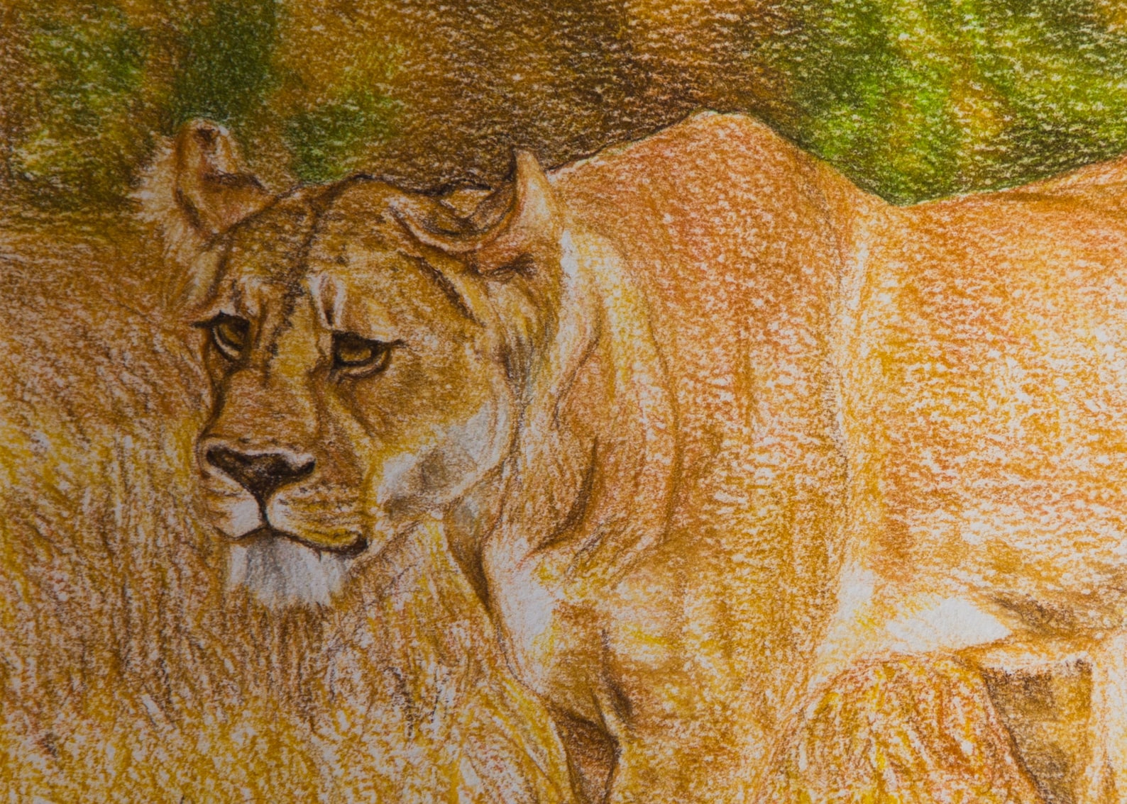 Original Lioness Painting, Lion Art, Pastel Painting, Lion in Wild ...