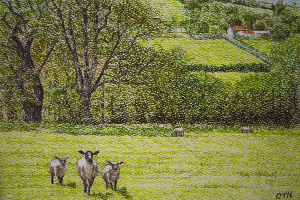 Original Landscape Art, English Countryside, Sheep and Lambs, Rural ...