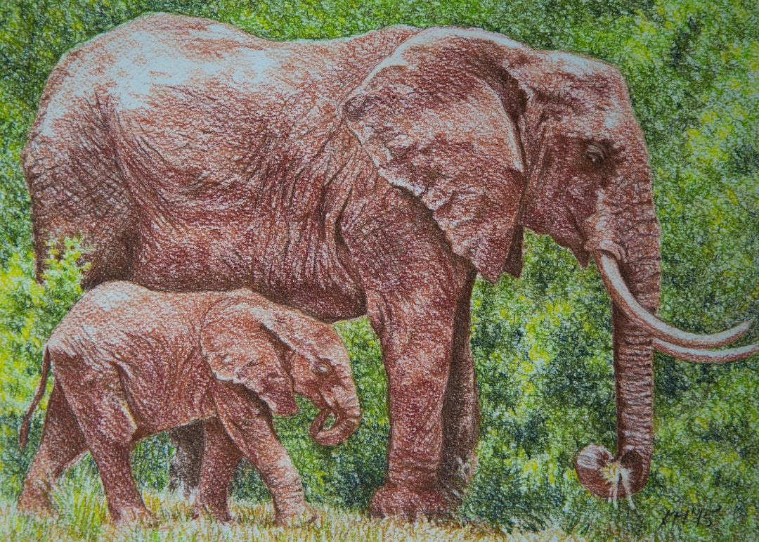 Elephant Paintings, Original Pastel Art, Baby Elephant, Wildlife Art ...