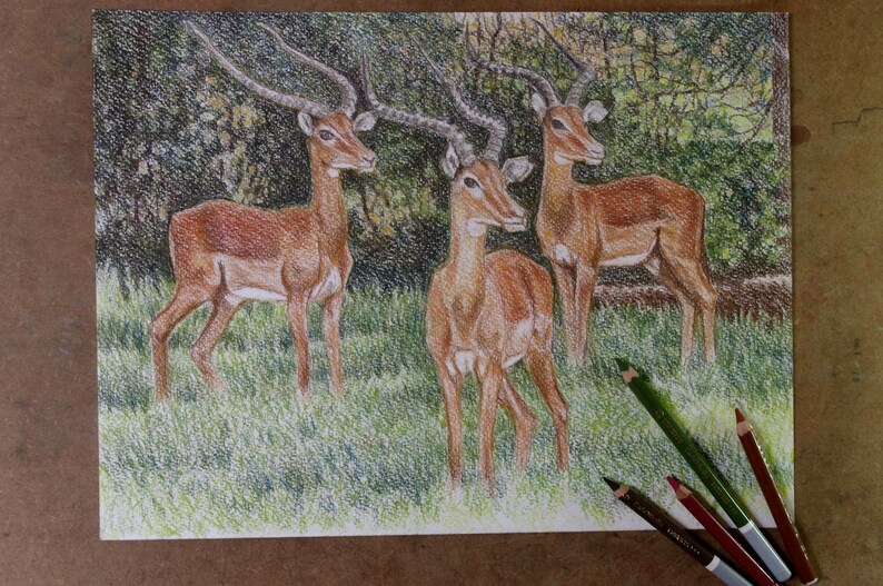 Original Impala Painting, Group of Impalas in the Bush, Horned ...